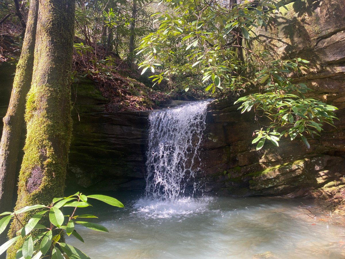 Honey Creek Loop- Big South Fork National Recreation Area – Andy's ...